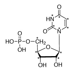 URIDINE 5'-MONOPHOSPHATE, LITHIUM SALT | Eurisotop